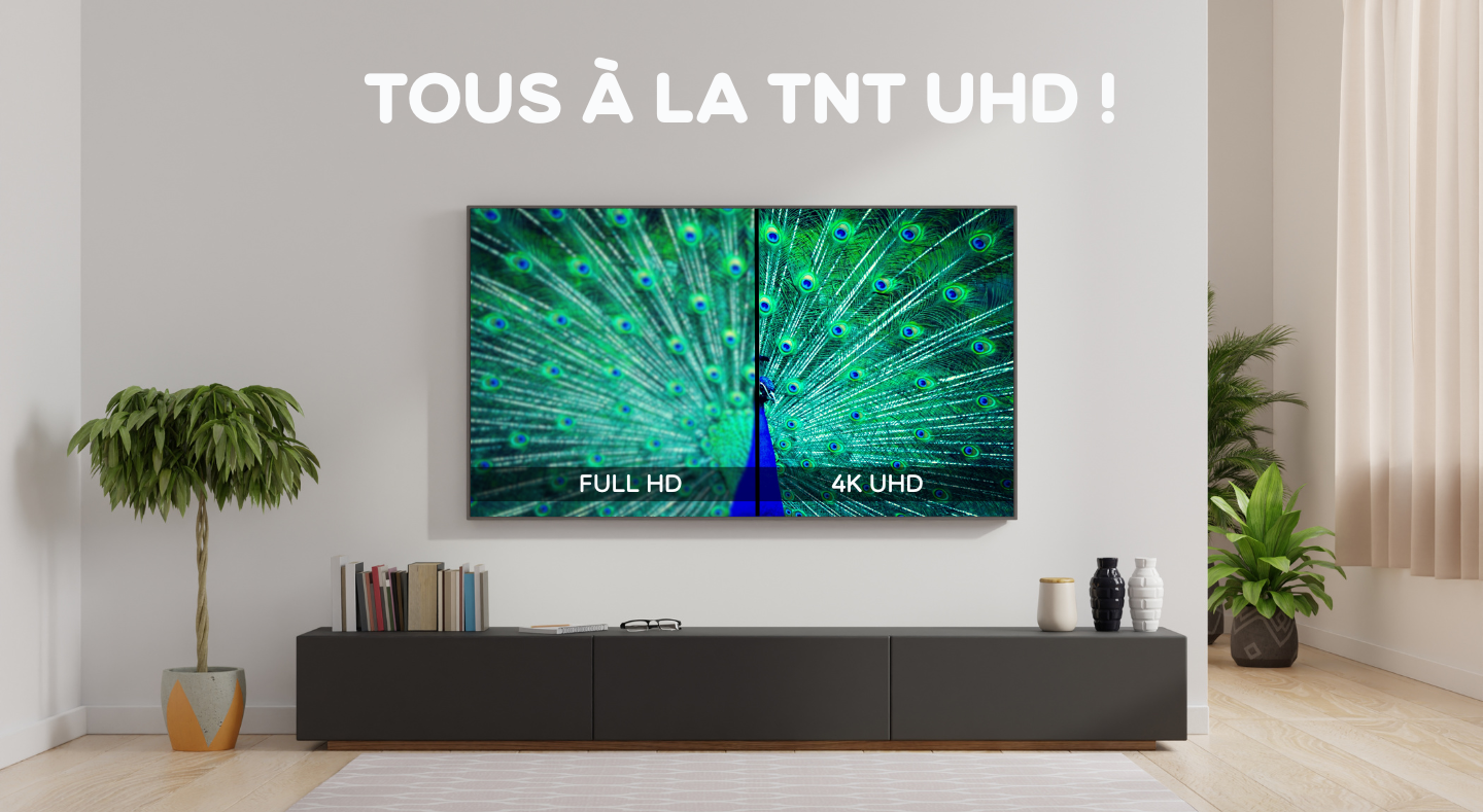 La réception TV par satellite ou les autres modes de réception : quelle ...